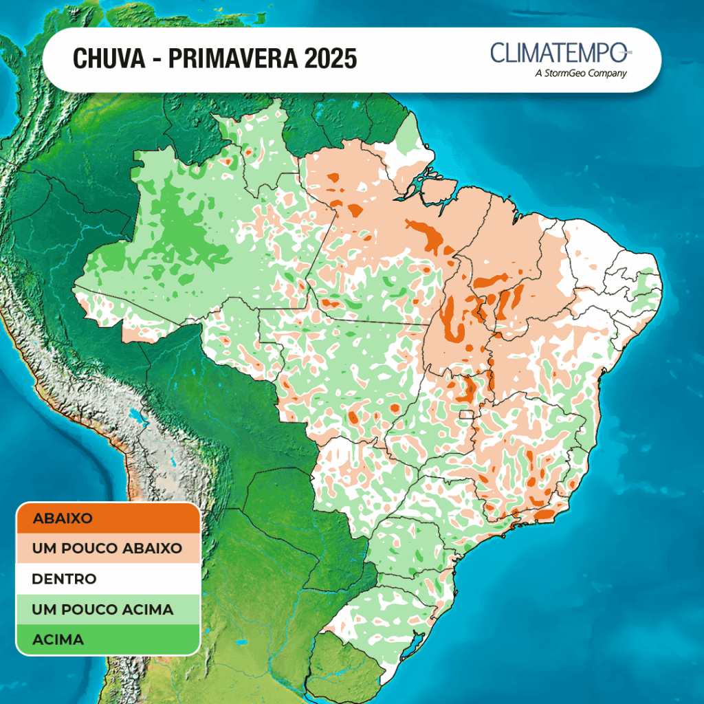 Primavera: características, quando começa e como se preparar